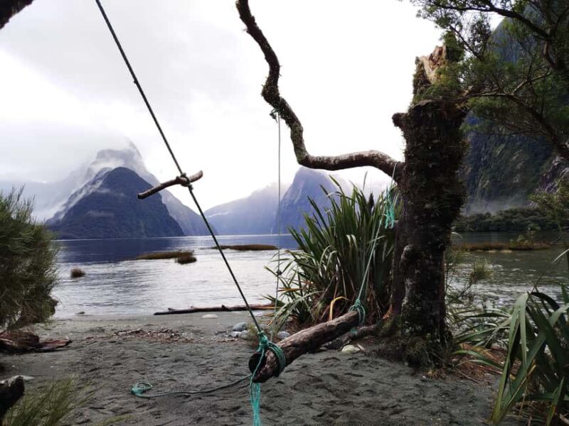 Milford Sound, Mount Cook & More: 4 Day Tour from Auckland - Practical Tips for Travelers