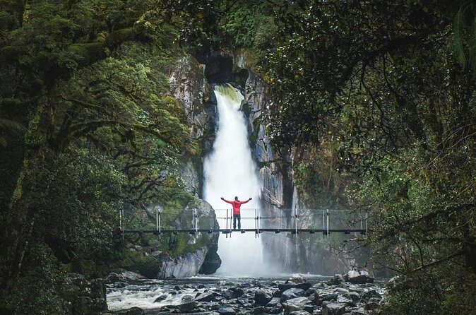 Milford Sound Nature Cruise and Self-Guided Scenic Track Walk - The Sum Up