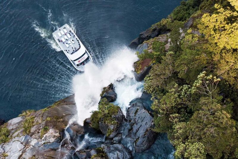 Milford Sound: Nature Cruise - Grand Views & Optional Lunch - Key Points