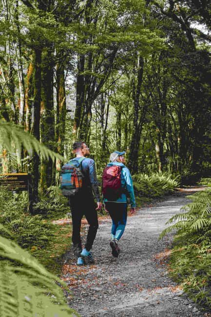 Milford Sound: Nature Cruise & Milford Track Walk - The Itinerary in Detail