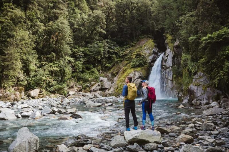 Milford Sound: Nature Cruise & Milford Track Walk - Authentic Reviews and Practical Insights