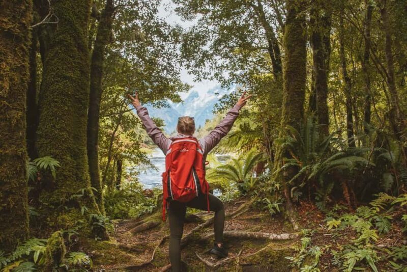Milford Sound: Nature Cruise & Milford Track Walk - The Sum Up: Who Will Love This Tour?