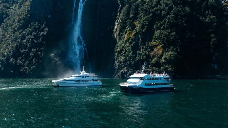 Milford Sound: Nature Cruise on a Modern Catamaran - An Honest Look at Milford Sound: Why Choose This Cruise?