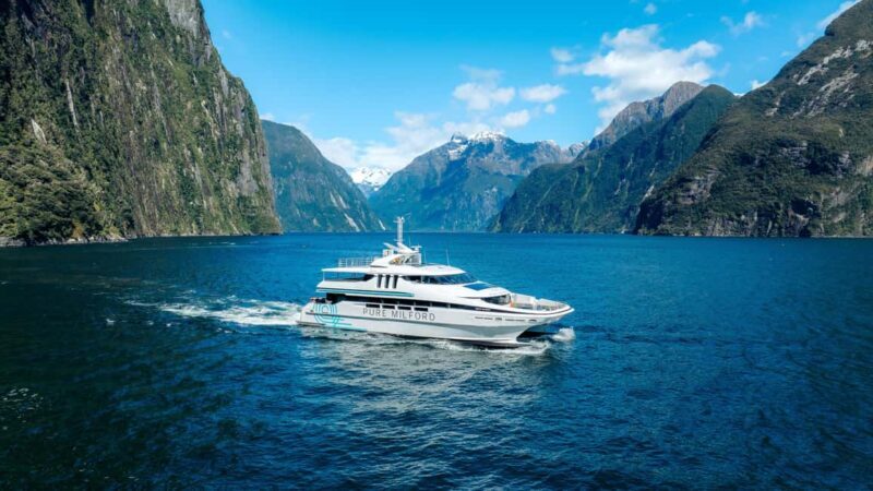 Milford Sound: Nature Cruise on a Modern Catamaran - The Experience: Comfort, Wildlife, and Authenticity