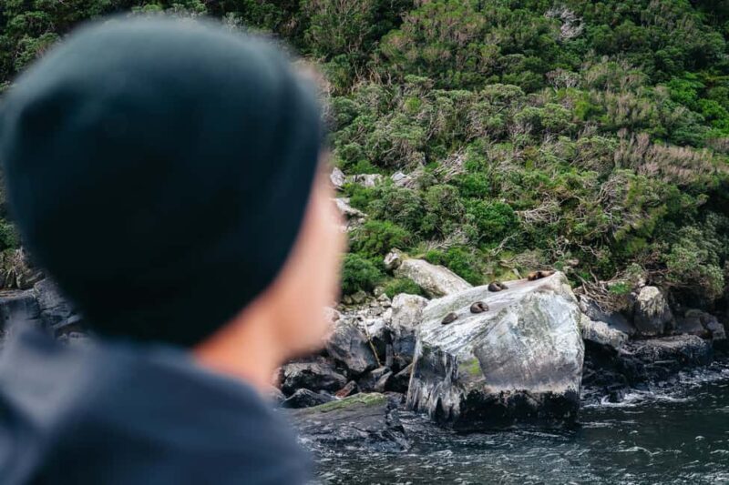 Milford Sound: Nature Cruise on a Modern Catamaran - The Verdict: Who Should Book This Cruise?