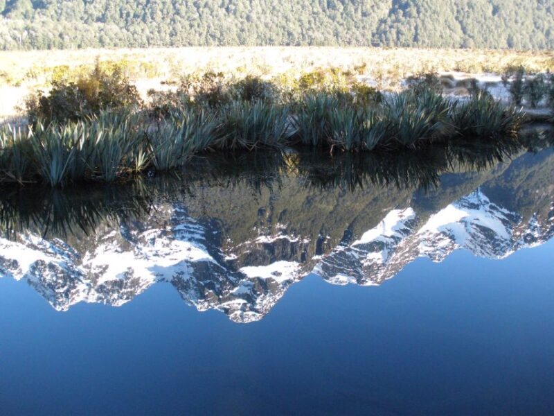 Milford Sound Premium Day Tour and Cruise from Te Anau - What Makes This Tour Special?