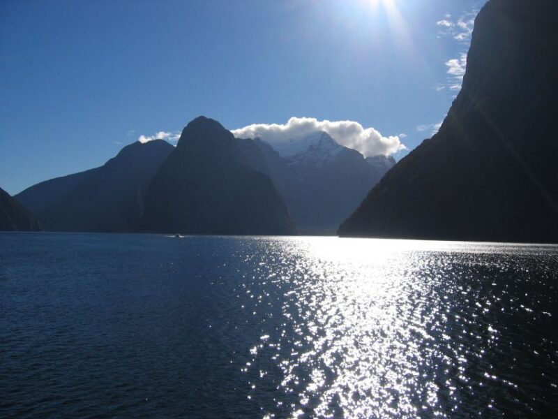 Milford Sound Premium Day Tour and Cruise from Te Anau - Who Would Enjoy This Tour?