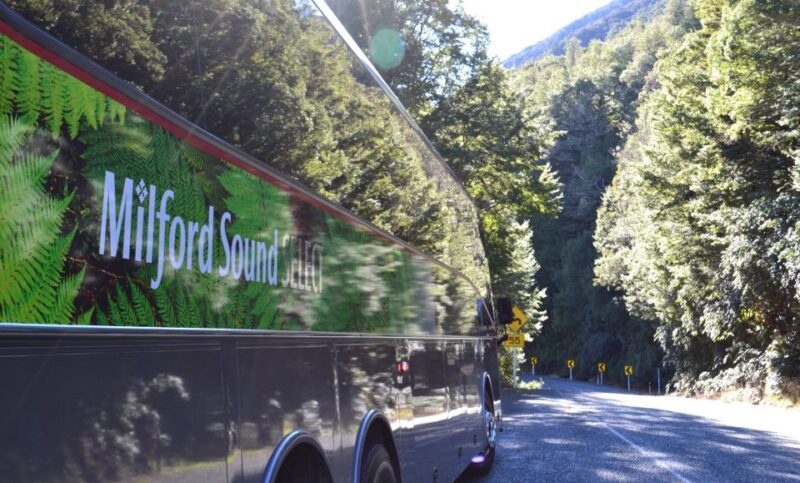 Milford Sound Premium Day Tour and Cruise from Te Anau - FAQ