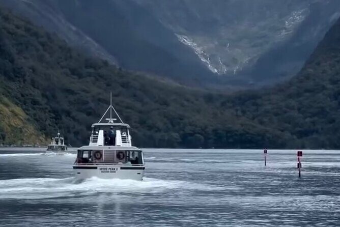 Milford Sound Private Day Trip from Queenstown via Te Anau - An In-Depth Look at the Milford Sound Private Day Trip
