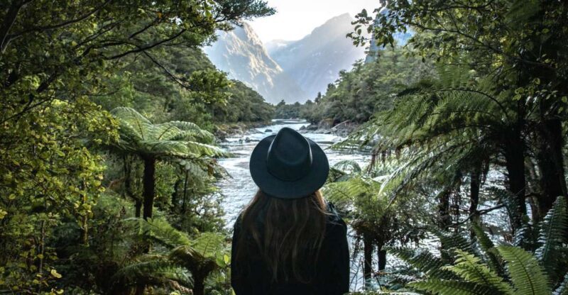Milford Sound: Self-Guided Milford Track Day Walk - How the Itinerary Unfolds