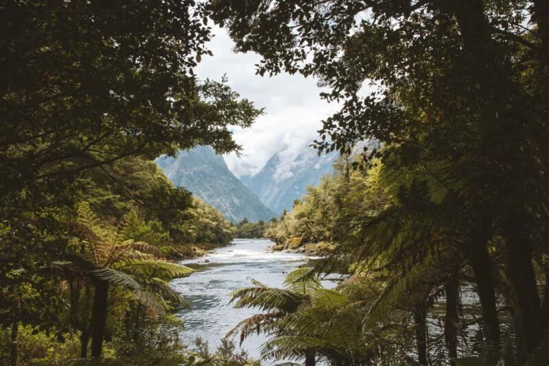Milford Sound: Self-Guided Milford Track Day Walk - Practical Details and Considerations