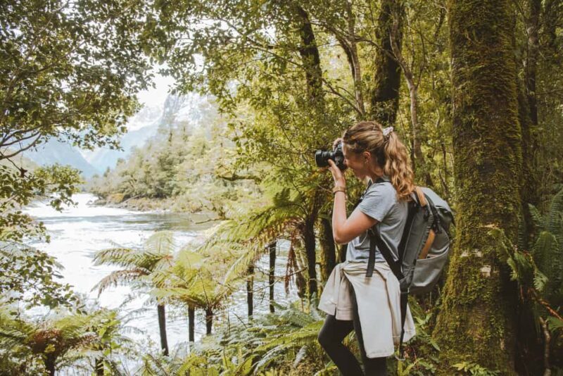 Milford Sound: Self-Guided Milford Track Day Walk - Authenticity and Experience from Reviews