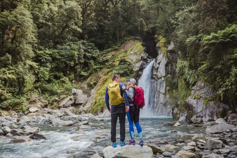 Milford Sound: Self-Guided Milford Track Day Walk - Who This Tour Is Perfect For