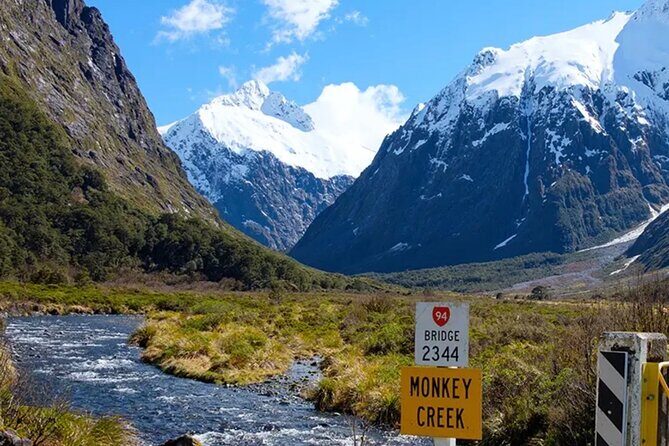 Milford Sound Small Group Day Tour From Queenstown - Final Thoughts: Is This Tour Right for You?