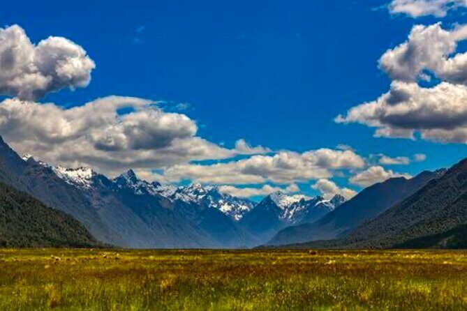 Milford Sound Small Group Day Tour From Queenstown - An Honest Look at the Milford Sound Small Group Day Tour