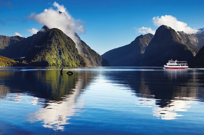 Milford Sound Small Group Tour, Cruise & Picnic Lunch - Transportation and Comfort