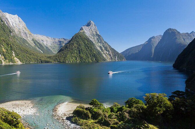 Milford Sound Small Group Tour, Cruise & Picnic Lunch - Pricing and Value