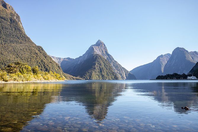 Milford Sound Small Group Tour from Queenstown with Scenic Flight - The Guides: Knowledgable & Approachable