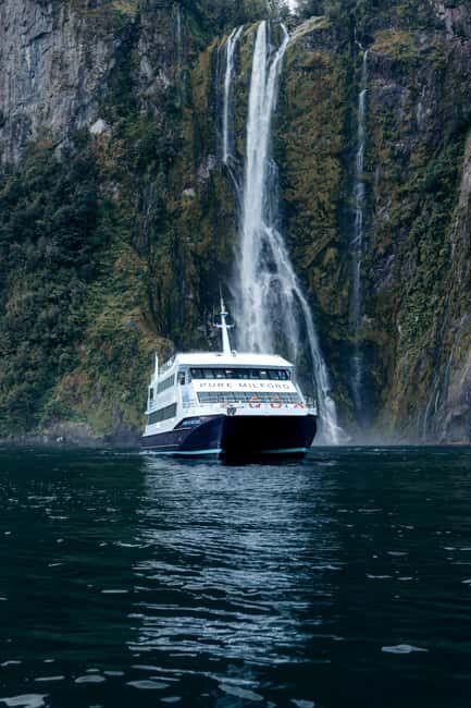Milford Sound: Waterfalls, Wildlife, and Rainforest Cruise - An In-Depth Look at the Milford Sound Cruise Experience