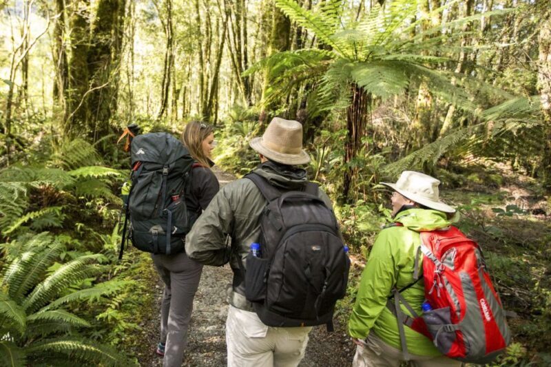 Milford Track: Full Day Guided Hike and Nature Cruise - Key Points