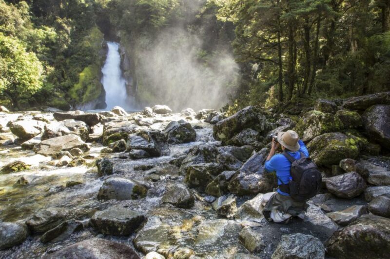 Milford Track: Full Day Guided Hike and Nature Cruise - The Day Unfolds: A Detailed Look