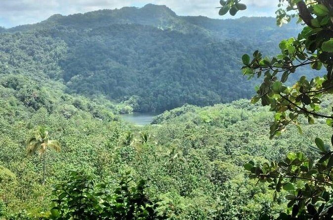 Millet Rainforest Hiking Experience - Who Should Consider This Tour?