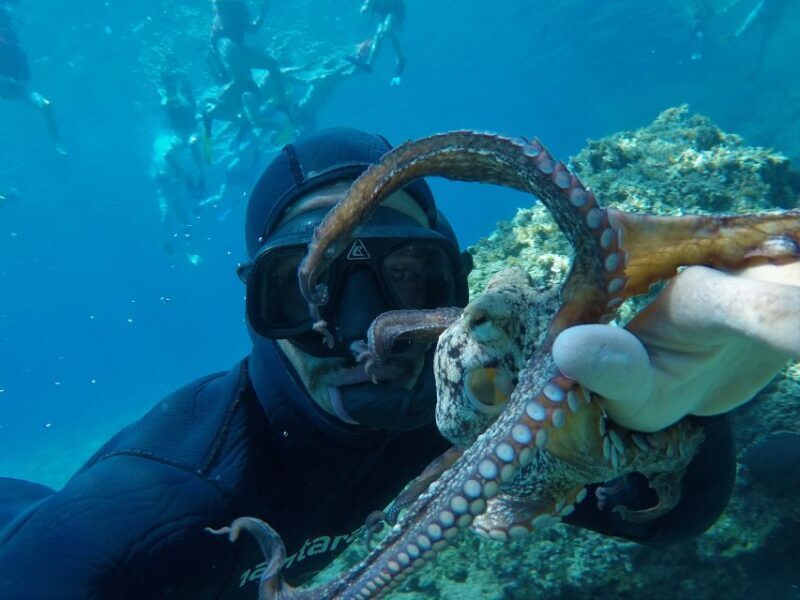 Milos: Half-Day Speedboat Cruise to Klefiko with Snorkeling - Who Will Love This Tour?