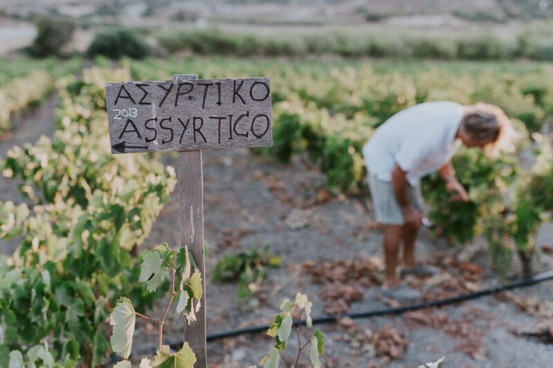 Milos Island: Kostantakis Winery Wine Tasting Experience - Summing It Up: Who Should Consider This Tour?