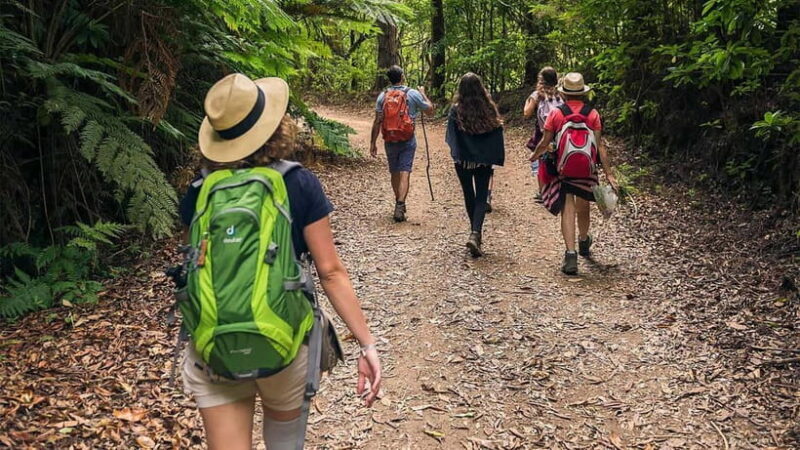 Mimosa Valley Trail: Explore Maroços - Why This Experience Is Worth It