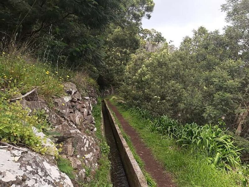 Mimosa Valley Trail: Explore Maroços - Who Will Love This Tour?