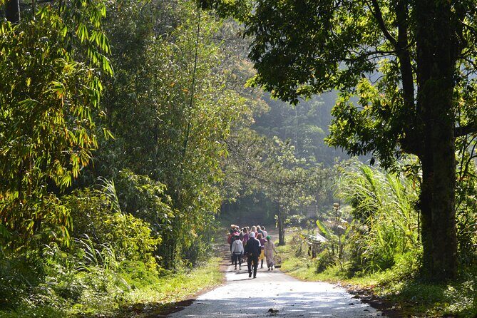 Mindful and Compassionate Nature Walk - Who Should Consider This Tour?