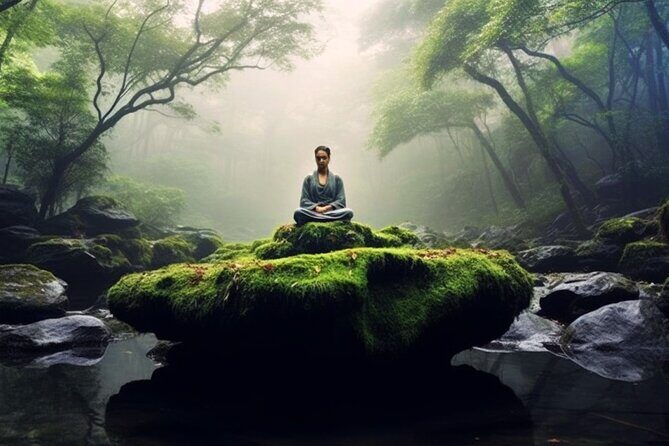 Mindful Meditation and Dharma Talks around the Big Island - What’s Included and How It Adds Value