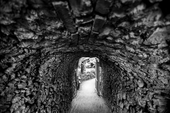 Mindful Photo Walk at Princess Pavilion & Gyllyngdune Gardens - The Itinerary: What to Expect