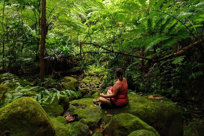 Mindfulness Rainforest Hike, Forest Bathing, Volcanic Hot Springs - Key Points