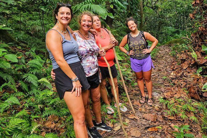 Mindfulness Rainforest Hike, Forest Bathing, Volcanic Hot Springs - A Detailed Look at the Experience