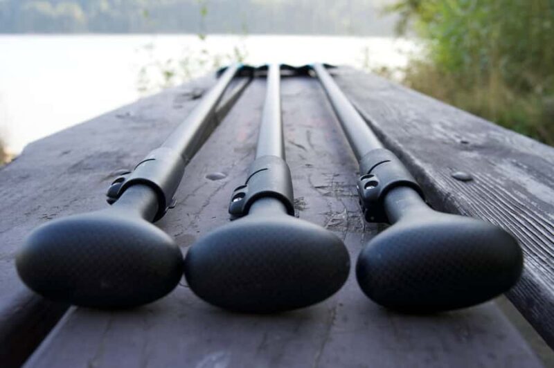 Mineral Lake: Stand Up Paddle Board Rental - Who Should Consider This Experience?