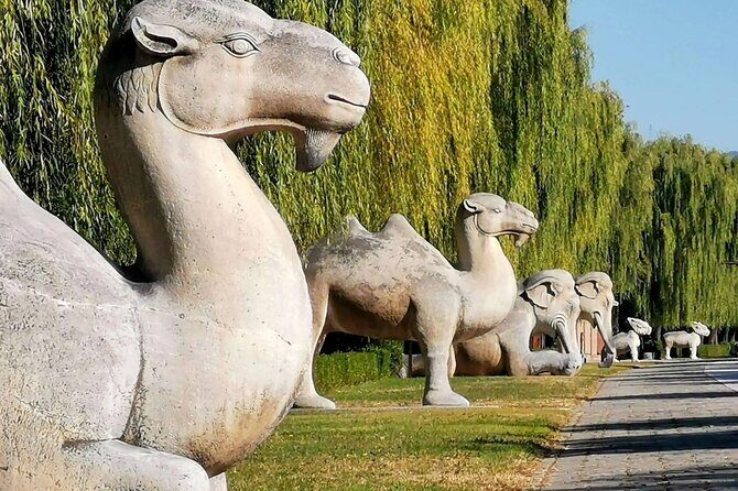 Ming Tombs Entrance Ticket with Optional Guided &Transfer Service - Choosing Your Experience: Upgrades and Benefits