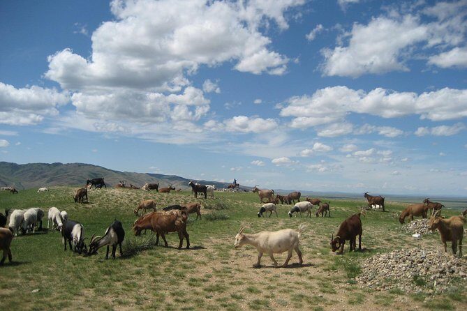 Mini Gobi and the ancient capital Kharkhorin - 4 days - Day 4: Final Adventures and Return to Ulaanbaatar