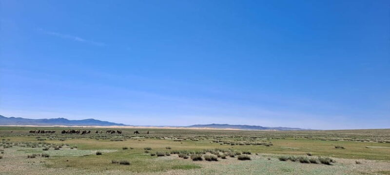 Mini Gobi, Orkhon, Tuvkhun Monastery & Kharkhorin 4-Day Tour - Who Should Consider This Tour?