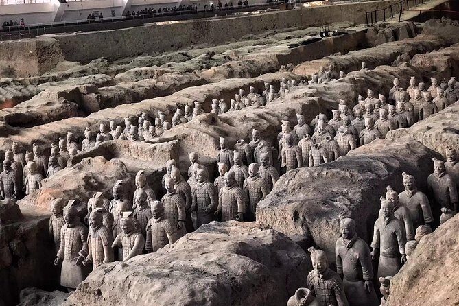 Mini Group: Half-Day Xi'an Terracotta Warriors Discovery Tour - Who Will Love This Tour?