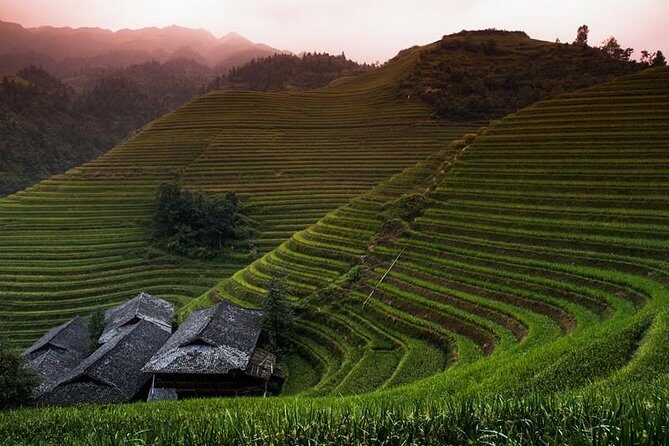Mini Group: Longji Rice Terraced Fields and Minority Villages Tour - Discovering the Longji Rice Terraces