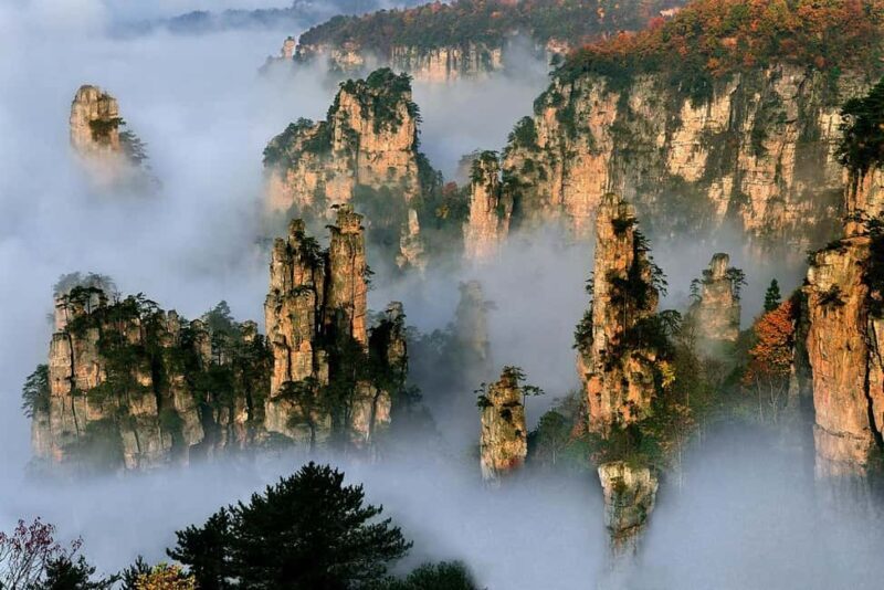 Mini Group Tour: Zhangjiajie Forest Park & Avatar Mountains - Authenticity & Value