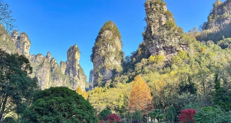 Mini Group Tour: Zhangjiajie Forest Park & Avatar Mountains - Final Thoughts