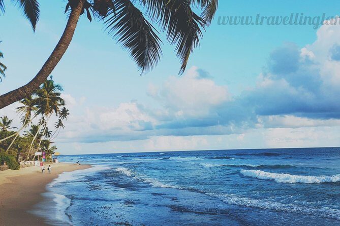 Mini Sri Lanka tour 4 nights 5 days for couple price - An In-Depth Look at the Itinerary