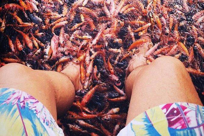 Mini Sri Lanka tour 4 nights 5 days for couple price - Final Thoughts