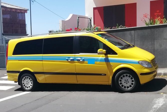 Minibus Transfer: Madeira Airport - Funchal - Who Should Consider This Transfer?