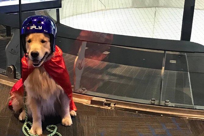 Minneapolis Indoor Skydiving Admission with 2 Flights & Personalized Certificate - The Authenticity of Reviews