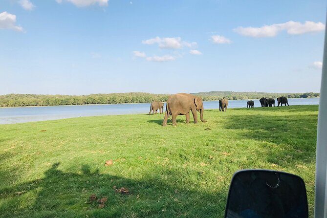 Minneriya And Kaudulla National Park Safari- From Sigiriya - The Value of the Experience