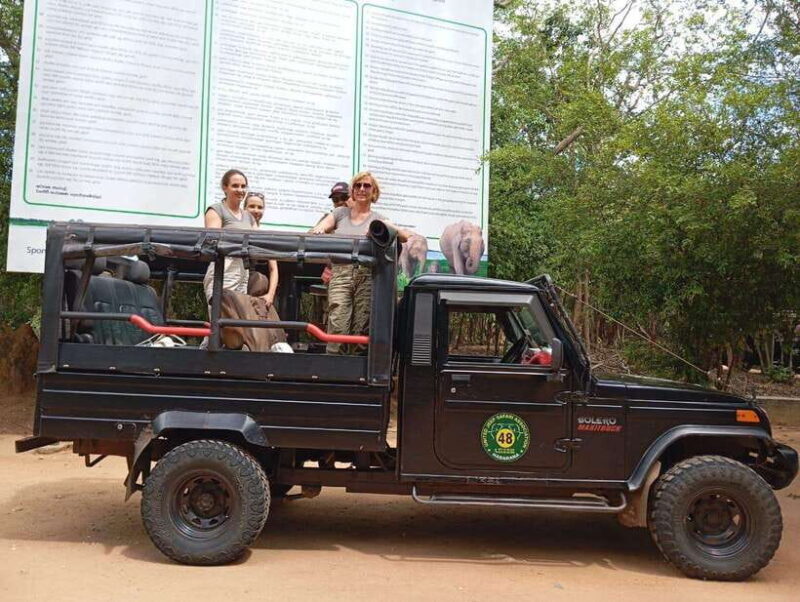 Minneriya: Elephant Safari at Minneriya Park - Hotel Pickup - Authentic Encounters and Practical Tips