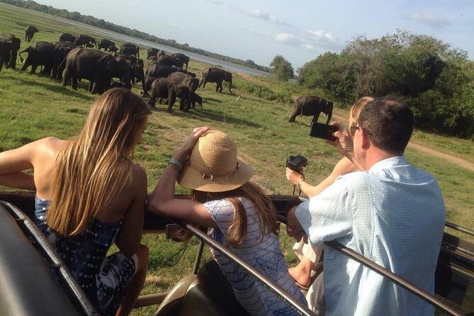 Minneriya Elephant Safari With Sigiriya Rock & Dambulla Cave Temples (Full Day) - Comprehensive Review of the Minneriya Elephant Safari, Sigiriya Rock, and Dambulla Cave Temples Tour